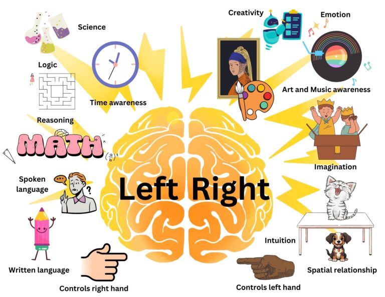 Brain – HERE AND THERE WITH KIDS